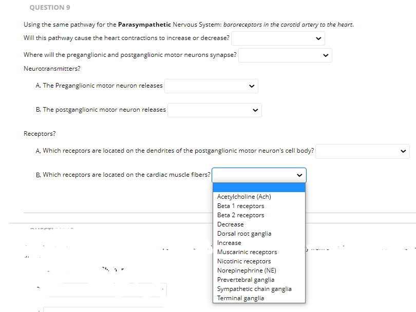 Solved Using the same pathway for the Parasympathetic | Chegg.com