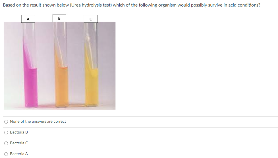 Solved Based on the result shown below (Urea hydrolysis | Chegg.com