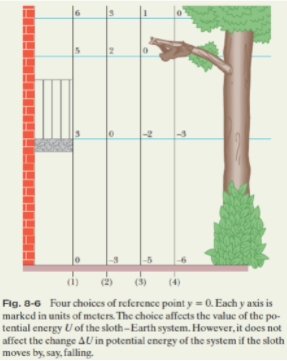 Solved A 2.0 kg sloth hangs 5.0 m above the ground (Fig. | Chegg.com