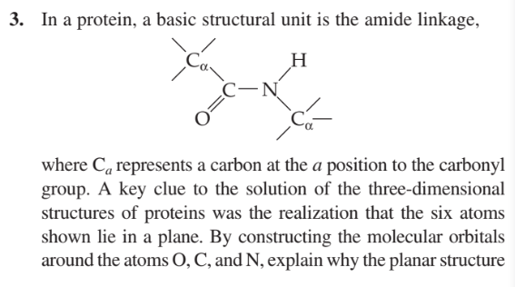 Solved In a protein, a basic structural unit is the amide | Chegg.com