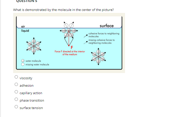 Solved What is demonstrated by the molecule in the center of | Chegg.com
