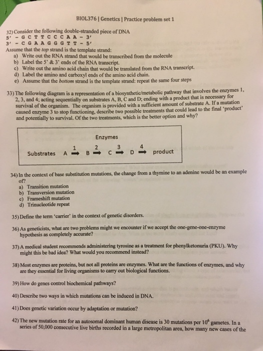 Solved BIOL376| Genetics | Practice problem set 1 The | Chegg.com