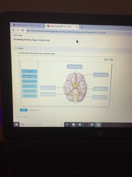 Chttps//session.master D-112175340 CCh 13 HW Art | Chegg.com