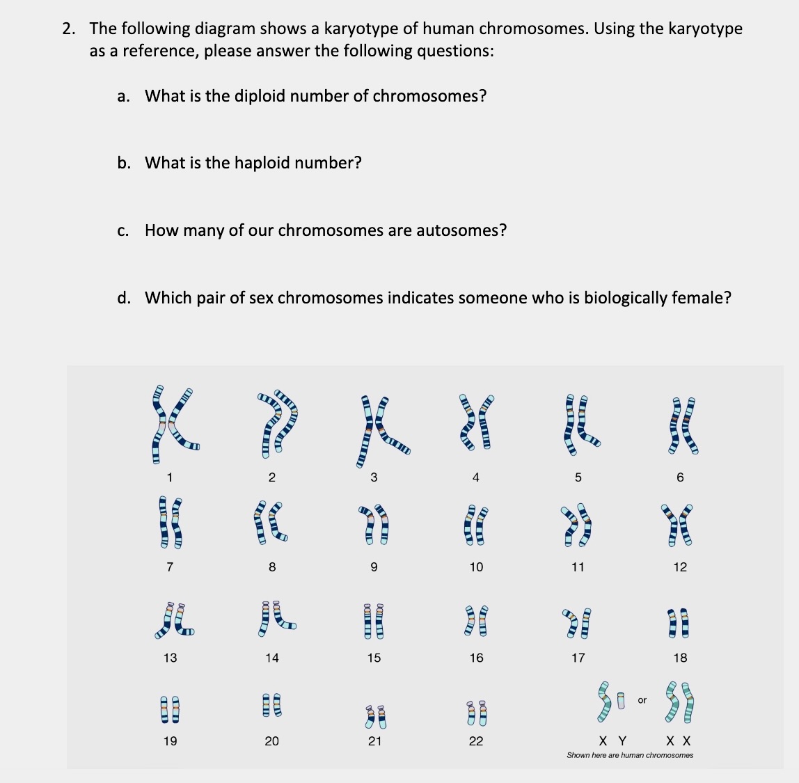 Solved 2. The following diagram shows a karyotype of human | Chegg.com