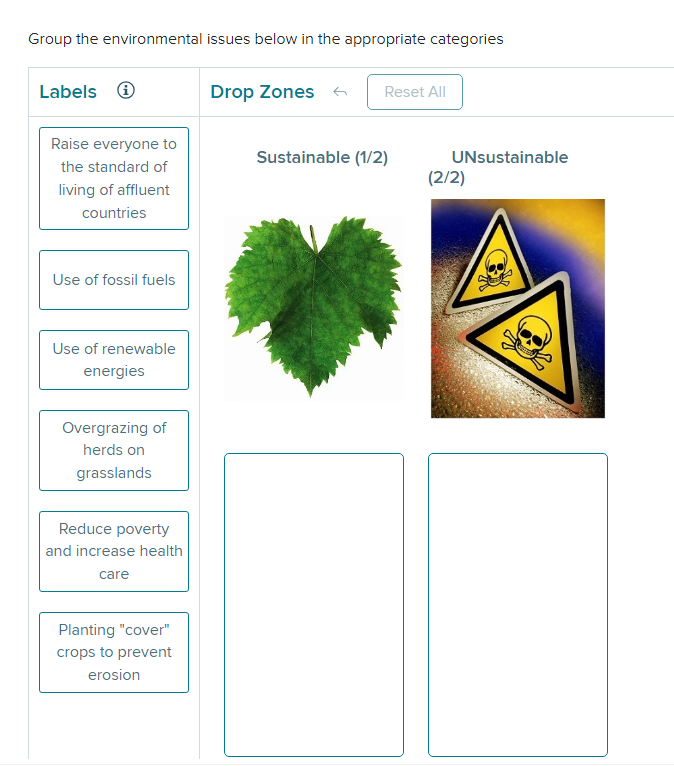 Solved Group the environmental issues below in the | Chegg.com