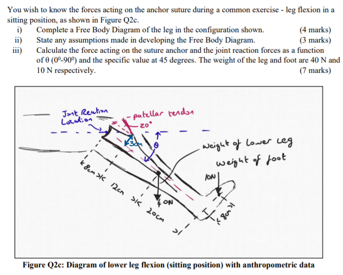 Solved You wish to know the forces acting on the anchor | Chegg.com