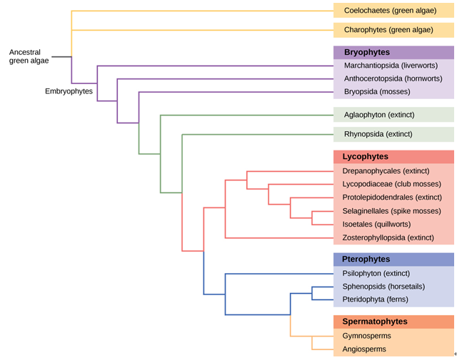 Solved The following two questions (3 and 4) relate to the | Chegg.com