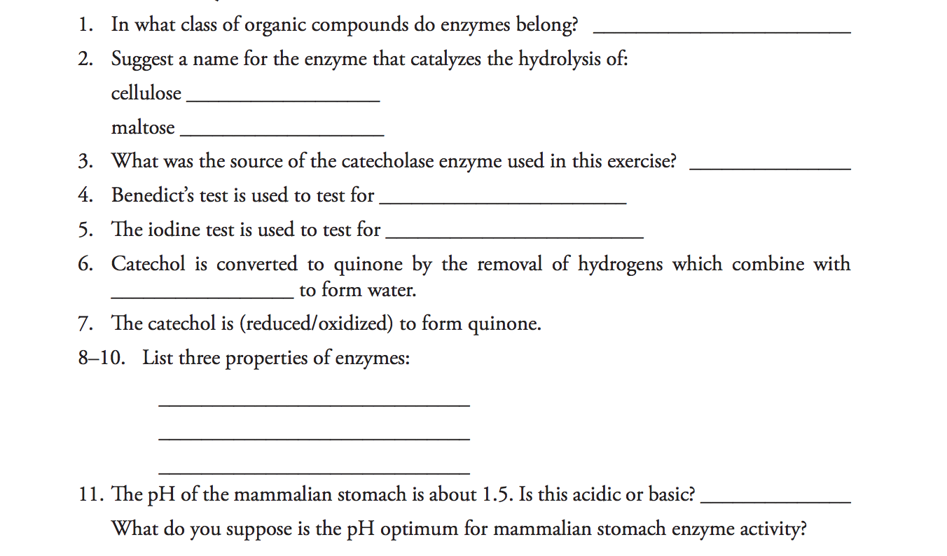 Solved 1. In what class of organic compounds do enzymes | Chegg.com