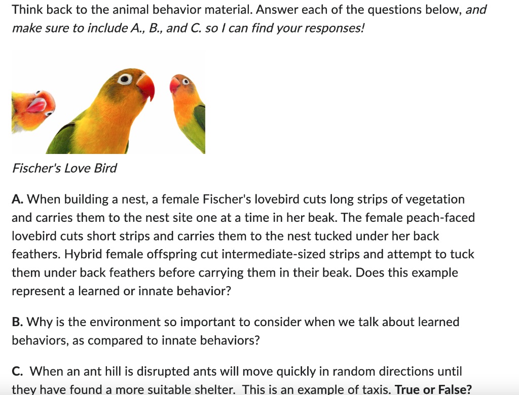 Solved Think back to the animal behavior material. Answer | Chegg.com