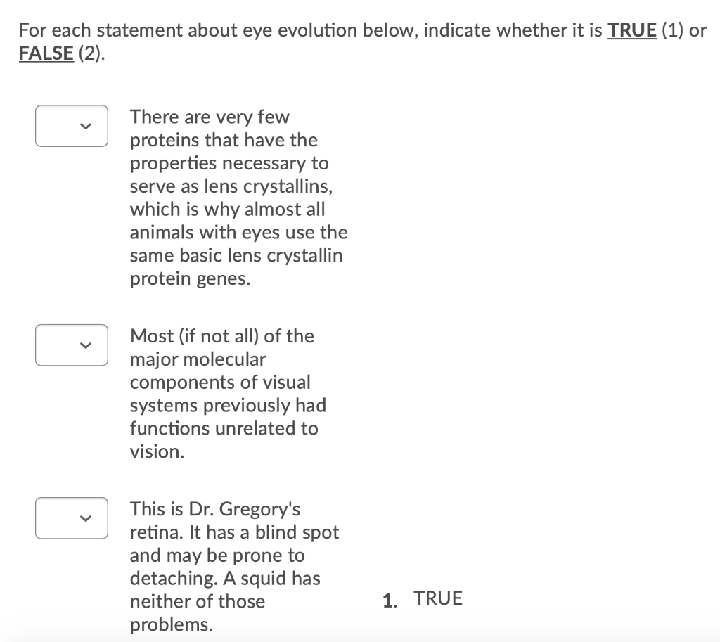 Solved For each statement about eye evolution below, | Chegg.com