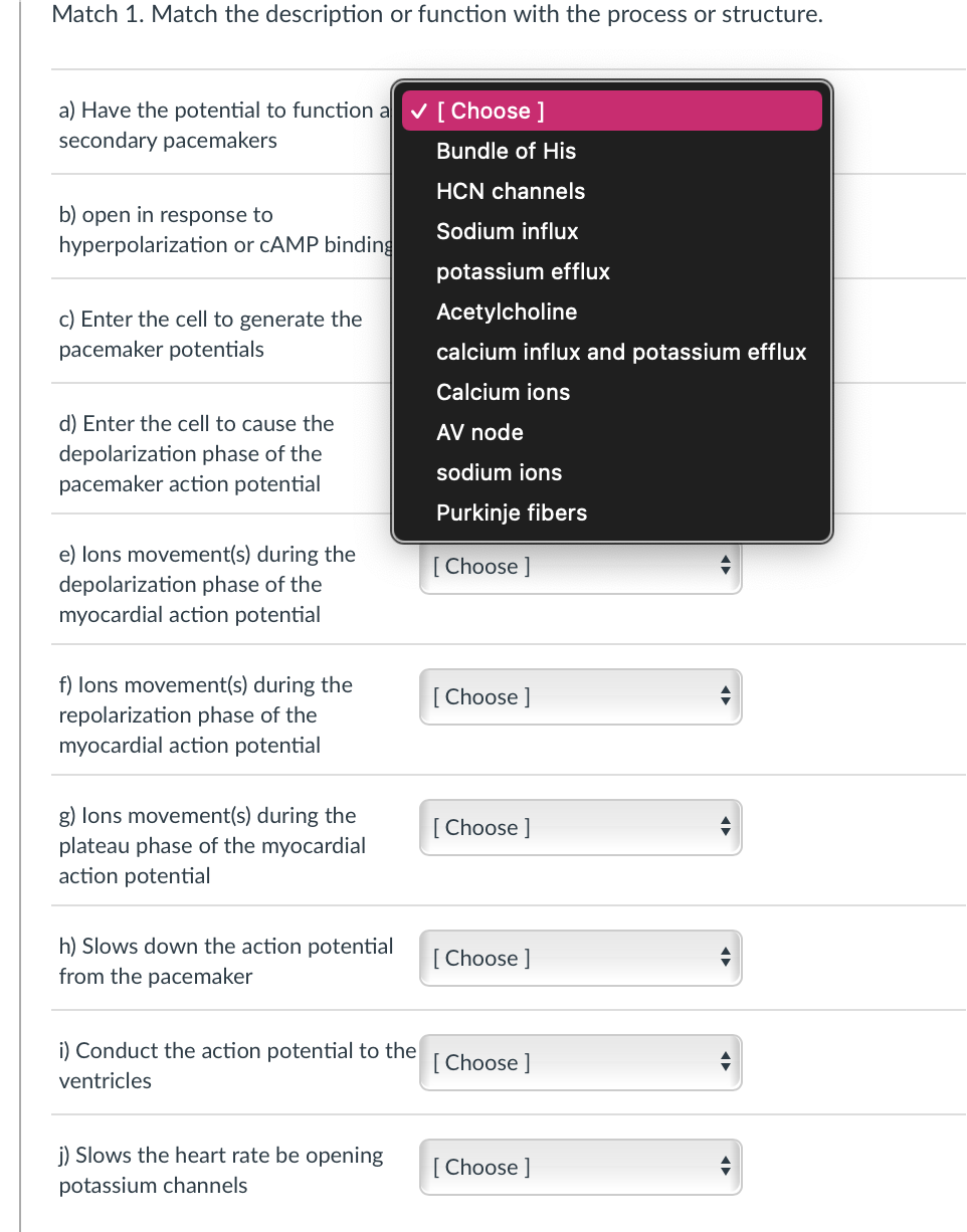 Solved Match 1. Match the description or function with the | Chegg.com