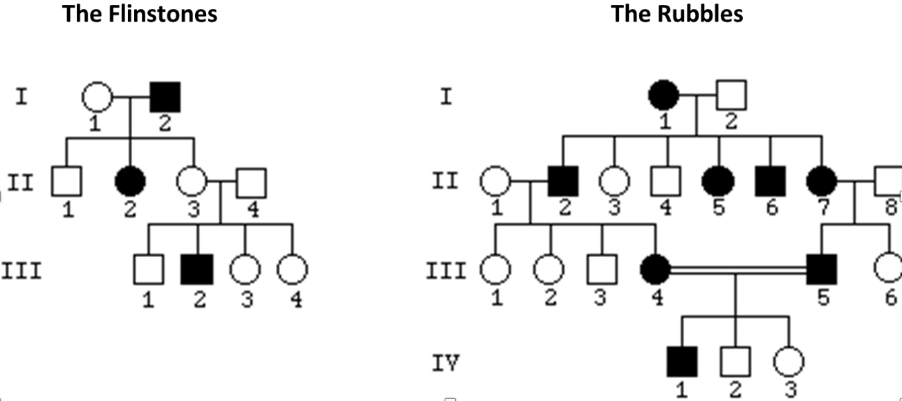 Solved pedigree of Flintstones traces the inheritance of | Chegg.com