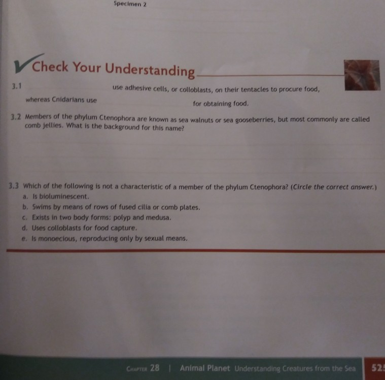 Solved Specimen 2 Check Your Understanding 3.1 use adhesive | Chegg.com