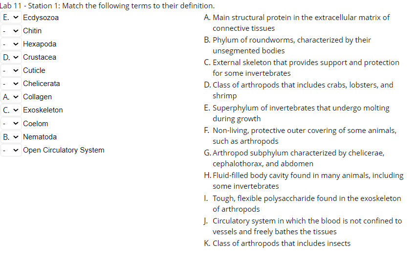 Solved ab 11 - Station 1: Match the following terms to their | Chegg.com
