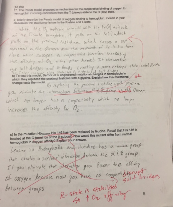 Solved (12 pts) 17. The Perutz model proposed a mechanism | Chegg.com