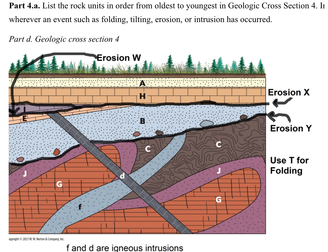 Solved Youngest to oldest: 1. , 2. , 3. , 4. | Chegg.com