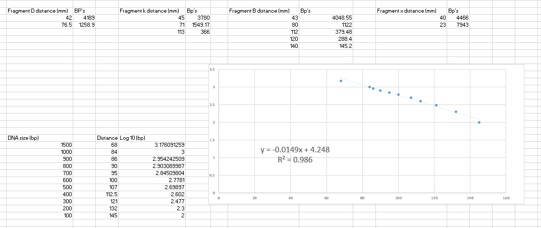 Using The Data Given Create A Restriction Enzyme Map 2608