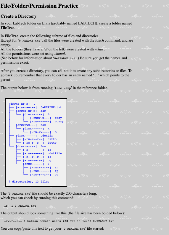 Solved File/Folder/Permission Practice Create a Directory In | Chegg.com
