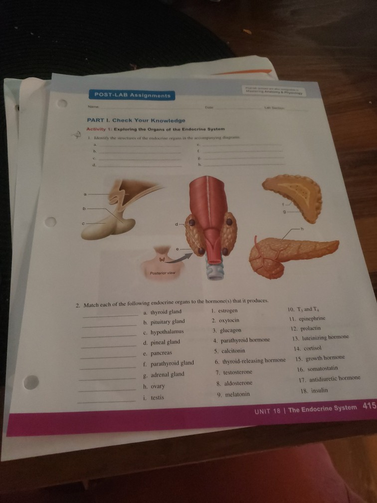Solved Post Lab Assignments Part I Check Your Knowledge