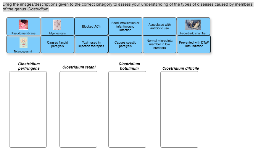 Solved Drag the images/descriptions given to the correct | Chegg.com Solved Drag the images/descriptions given to the correct | Chegg.com