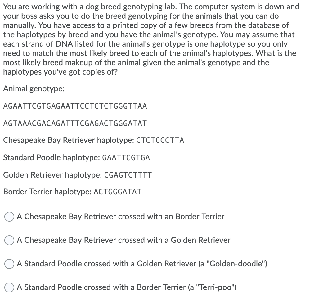 Solved You are working with a dog breed genotyping lab. The | Chegg.com
