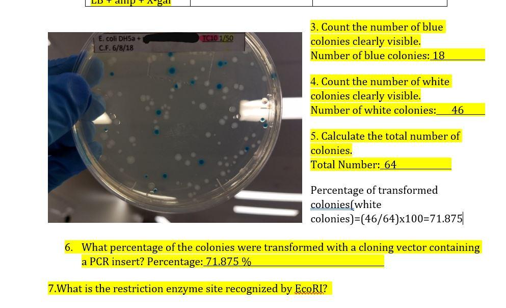 Solved LD all 1801 TC10 1/50 E. coli DH5a + C.F. 6/8/18 3. | Chegg.com