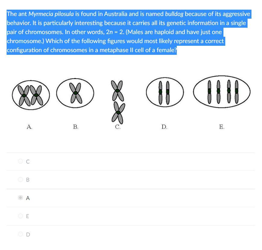 Solved Please clearly label the answer and explain in | Chegg.com