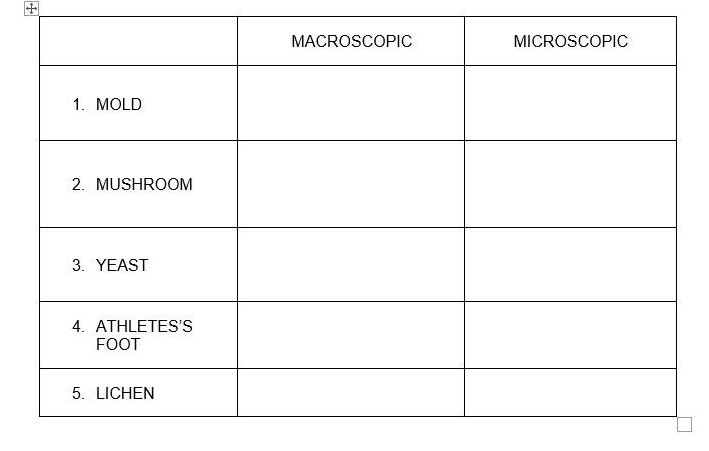 Solved Macroscopic and Microscopic description or features | Chegg.com