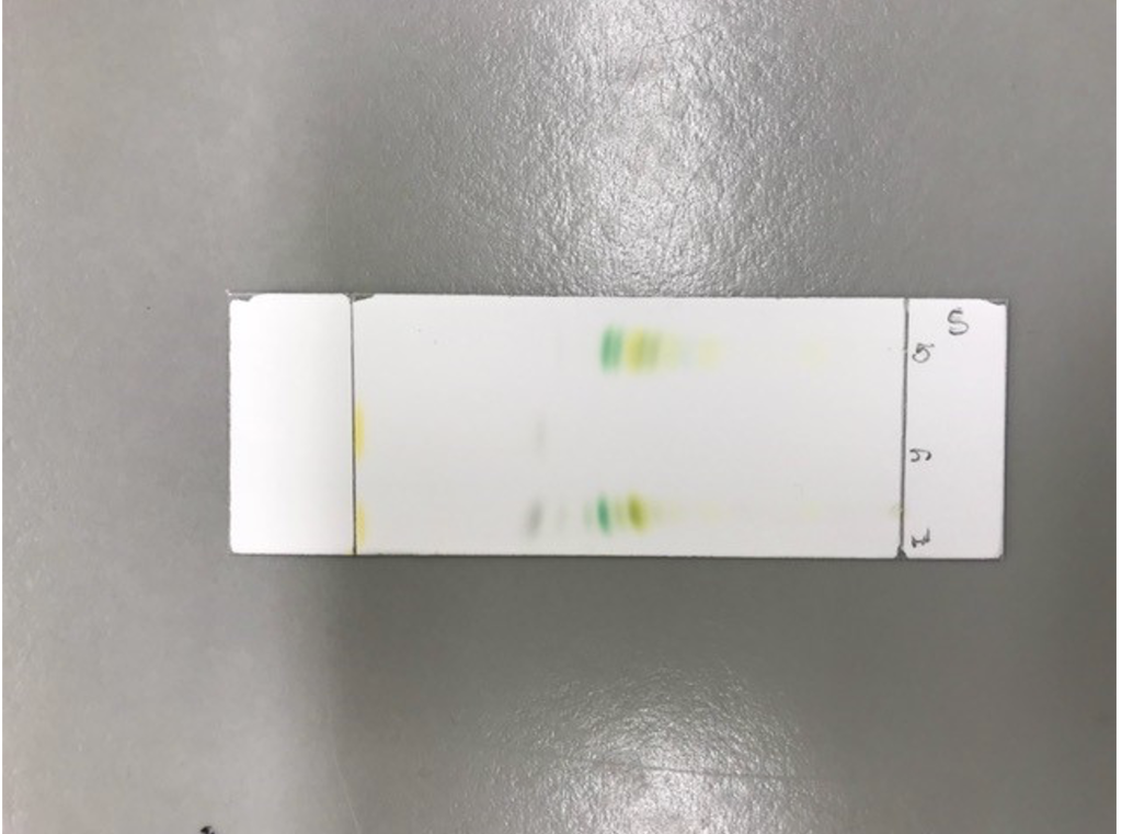 Solved From watchingCalculate the Rf values for all the | Chegg.com