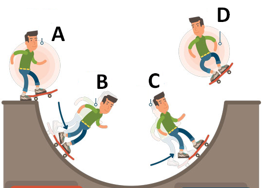 Solved Identify which skater has potential vs kinetic | Chegg.com