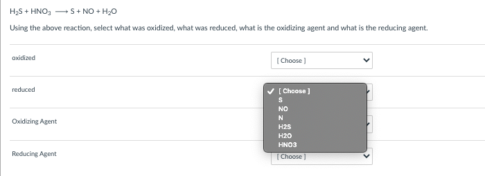 Solved H2S + HNO, S + NO + H20 Using the above reaction, | Chegg.com