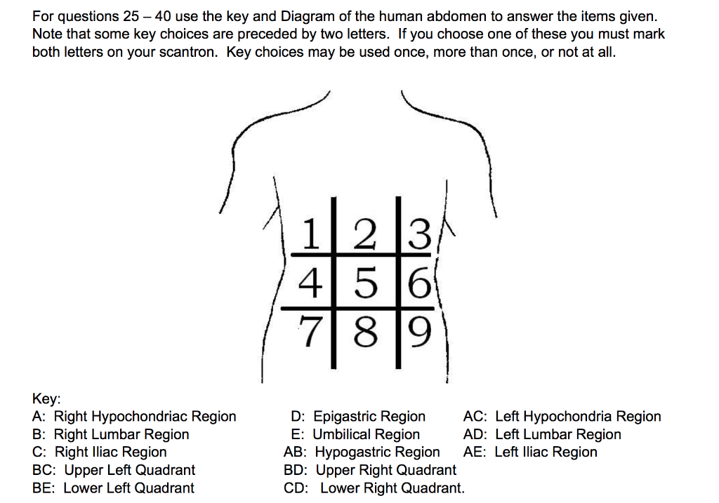 Solved For questions 25 - 40 use the key and Diagram of the | Chegg.com