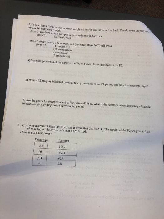 Solved reasu can be either rough or smooth, and either soft | Chegg.com