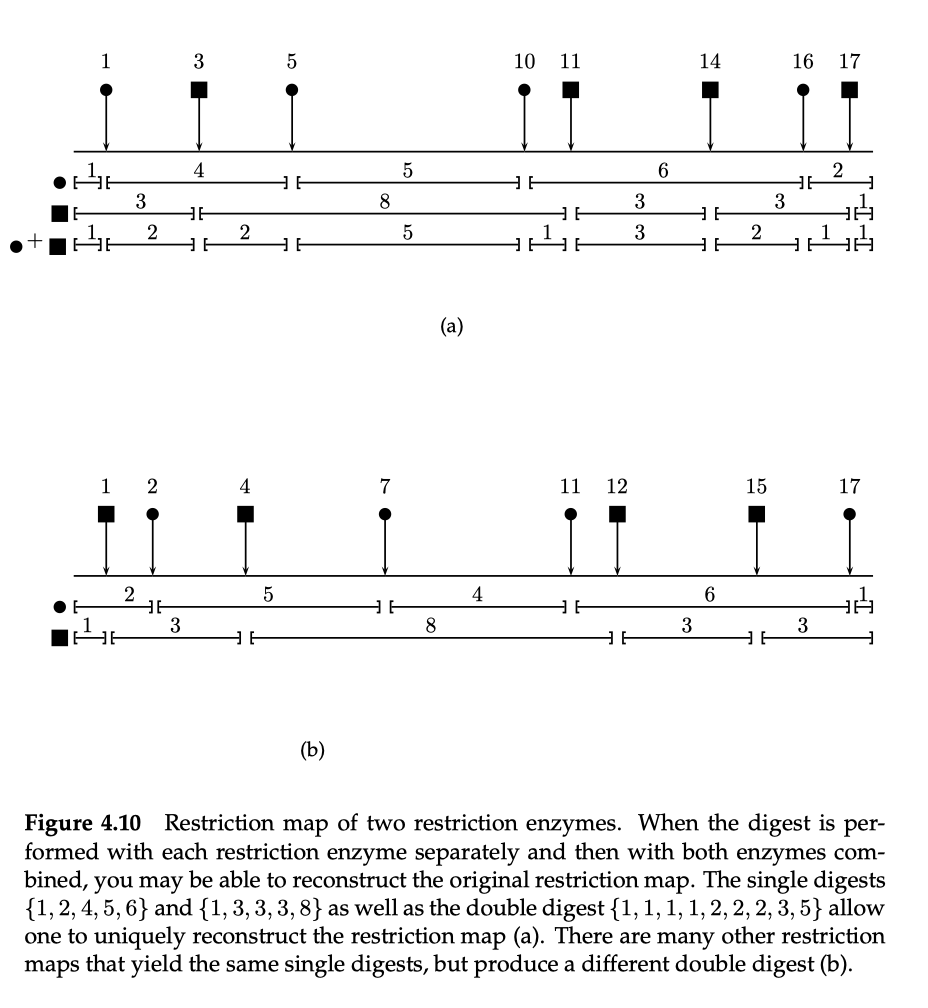 10 11 14 16 17 11 12 15 17 3 Figure 4.10 Restriction | Chegg.com