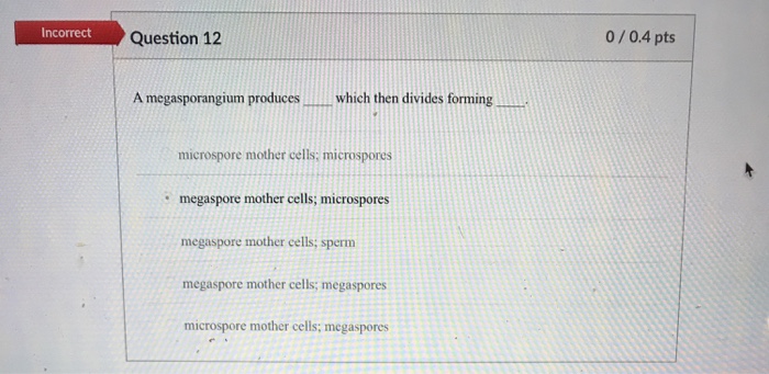 Solved Incorrect Question 10 0/0.3pts The lack true roots | Chegg.com Solved Incorrect Question 10 0/0.3pts The lack true roots | Chegg.com