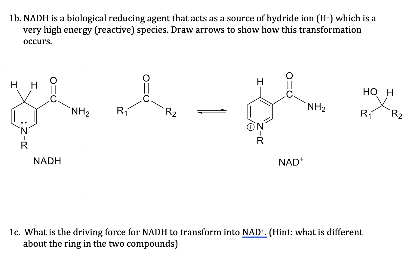 Solved 1b. NADH is a biological reducing agent that acts as | Chegg.com