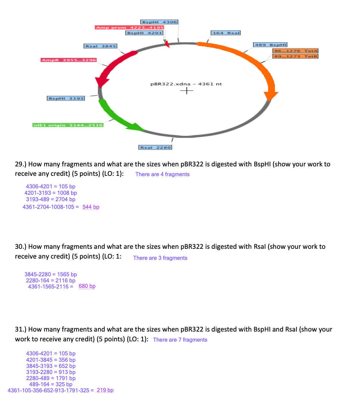 Solved Please Help me quickly! | Chegg.com