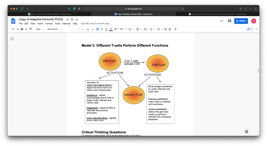 Solved fo a doc.google.com Copy of Adapthe immunky POBIL - | Chegg.com