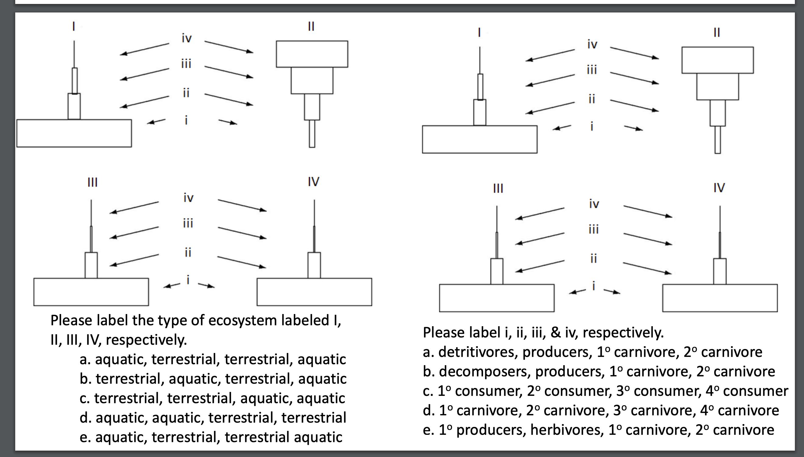 Solved The above illustrate: a. Density dependent factors to | Chegg.com