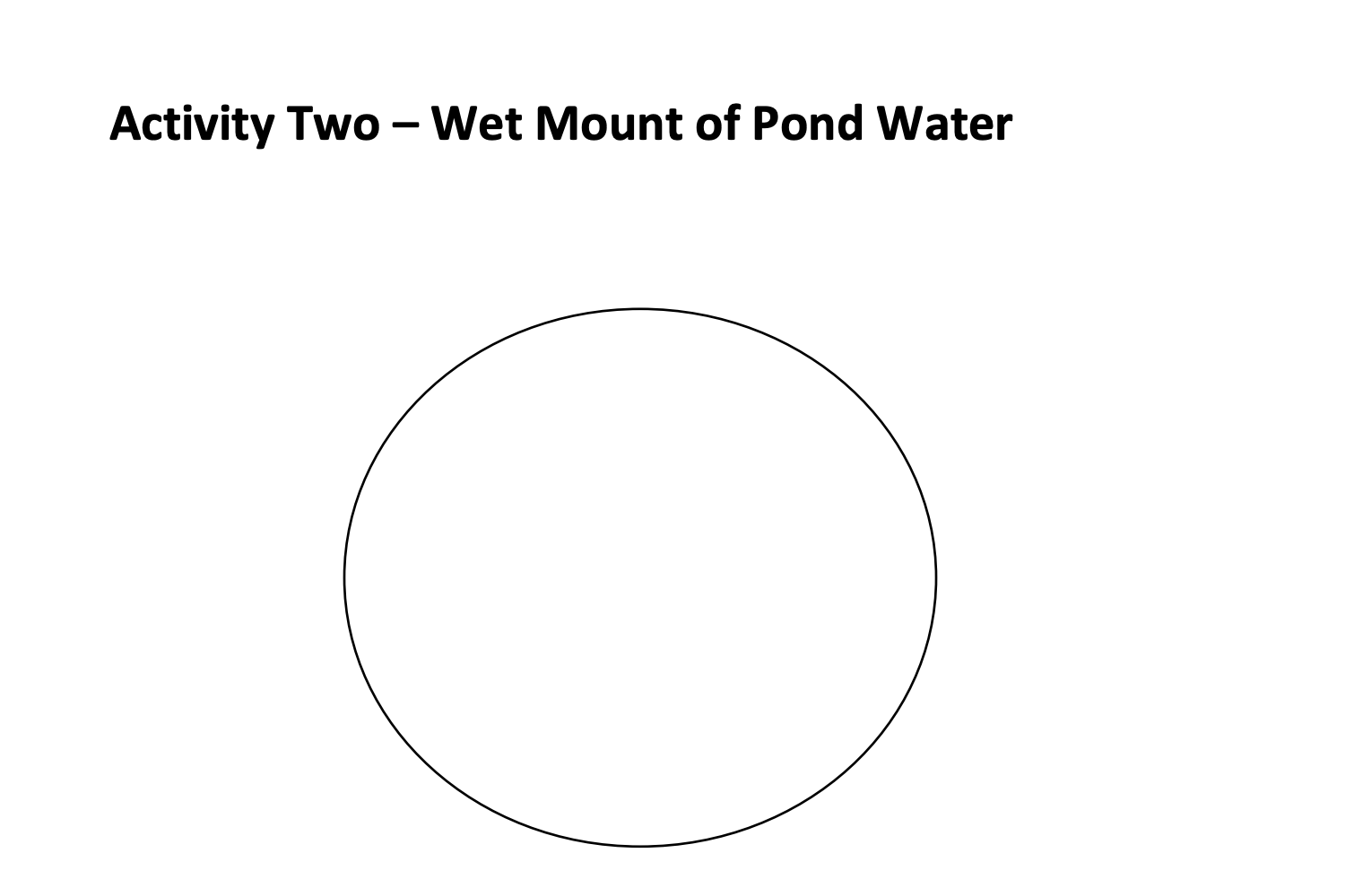 Activity Two - Prepare a Wet Mount Using Pond Water | Chegg.com