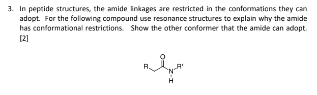 Solved 3. In peptide structures, the amide linkages are | Chegg.com