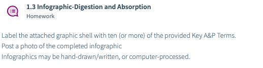 Solved 1.3 Infographic-Digestion and Absorption Homework | Chegg.com