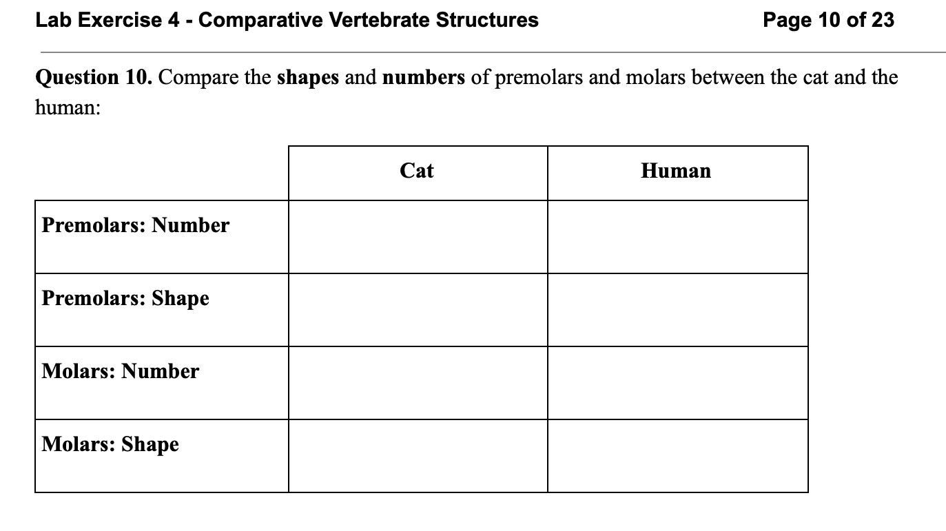 Solved Lab Exercise 4 - Comparative Vertebrate Structures | Chegg.com