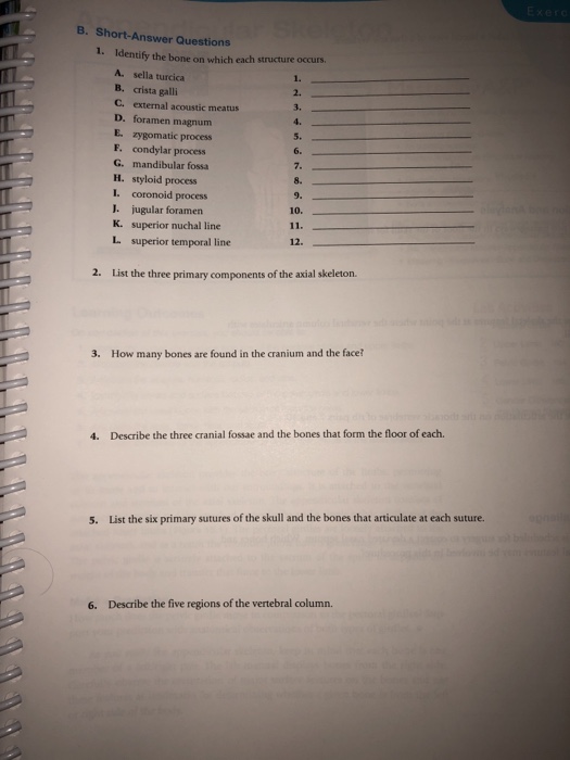 Solved Review &Practice Sheet Now available in MasteringA&P | Chegg.com