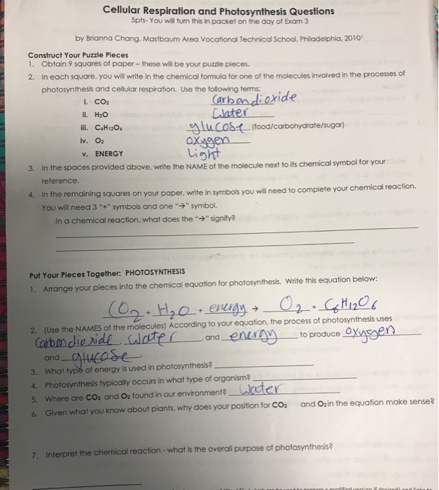 solved-cellular-respiration-and-photosynthesis-questions-chegg