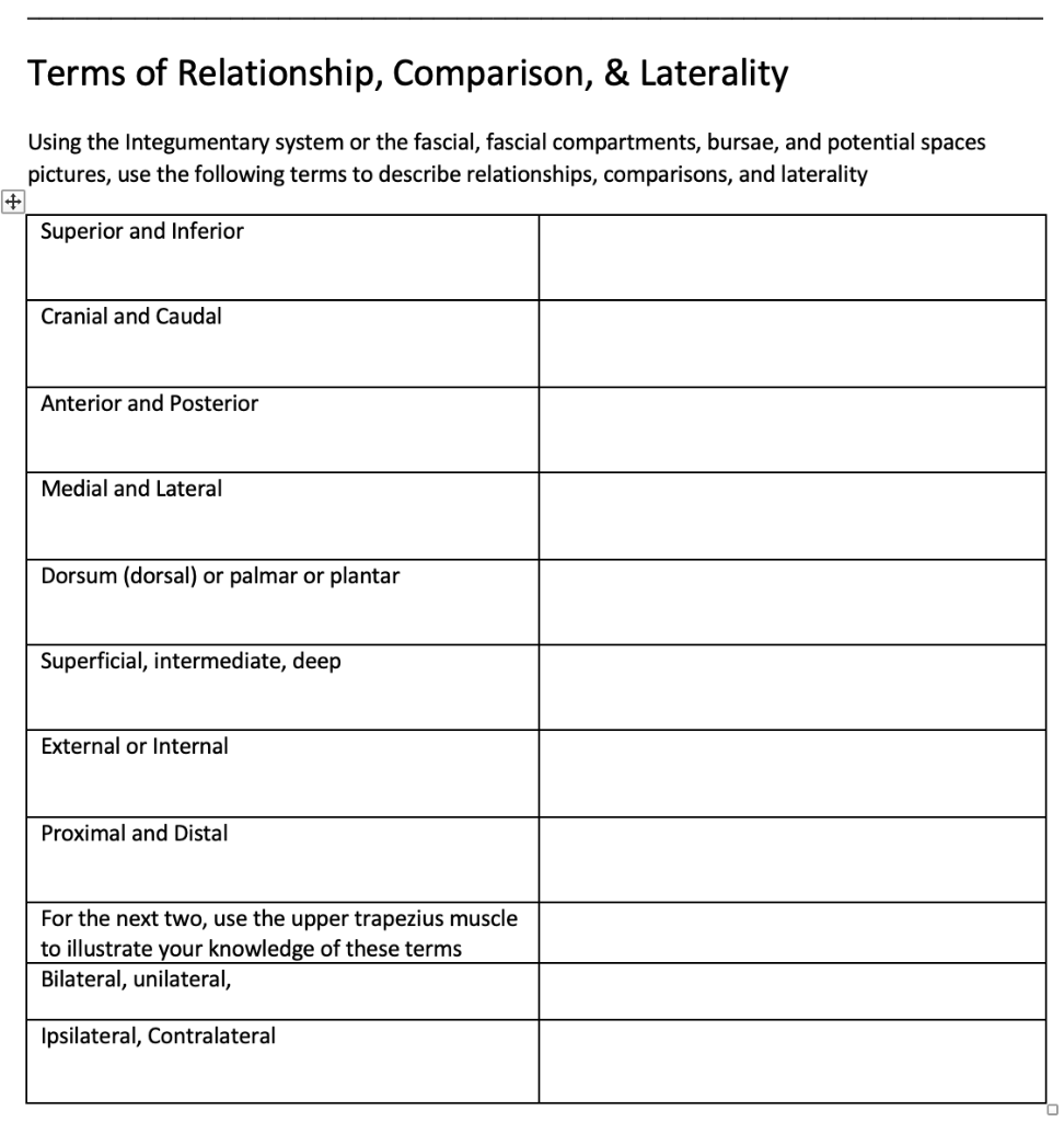 Solved Terms of Relationship, Comparison, & Laterality Using | Chegg.com