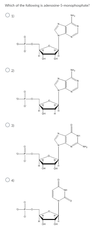 Solved Which of the following is adenosine-5-monophosphate? | Chegg.com