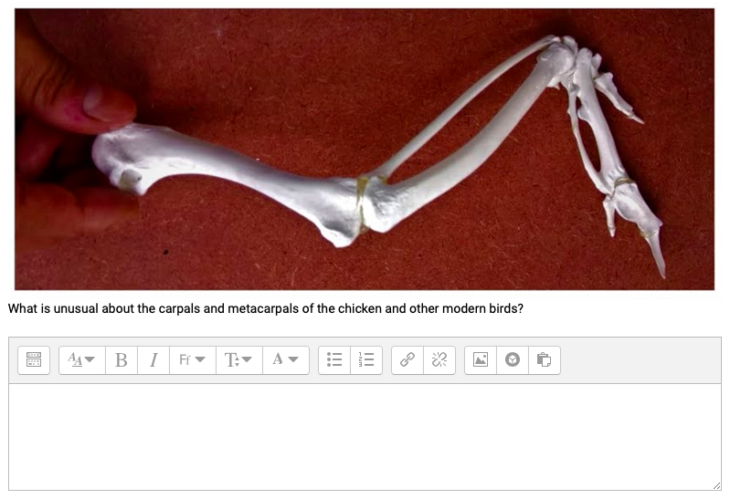 Solved What is unusual about the carpals and metacarpals of | Chegg.com