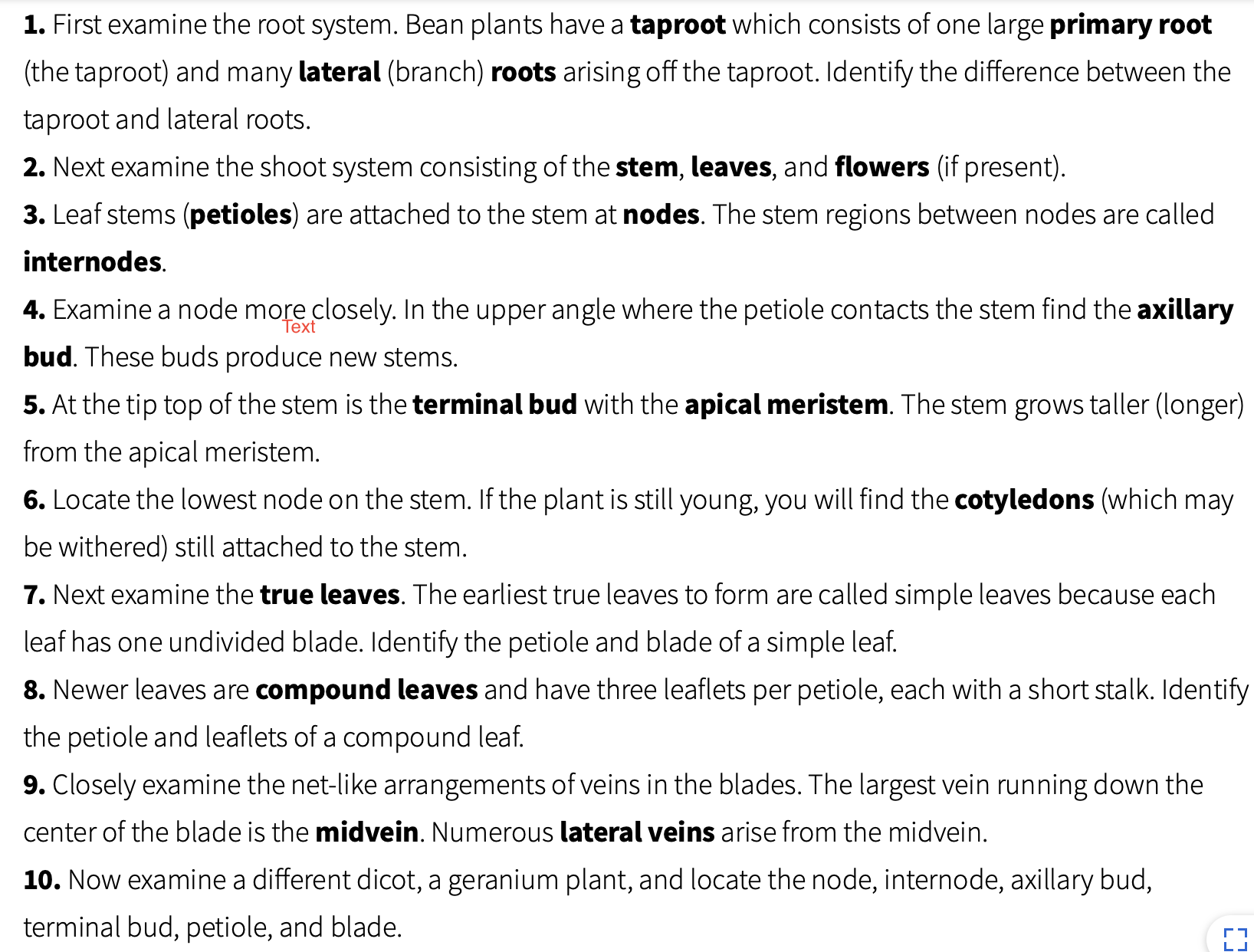 Solved Text 1. First examine the root system. Bean plants | Chegg.com