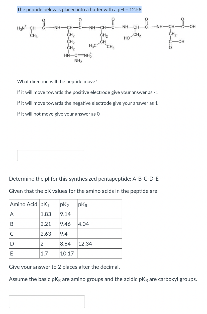 Solved The peptide below is placed into a buffer with a | Chegg.com